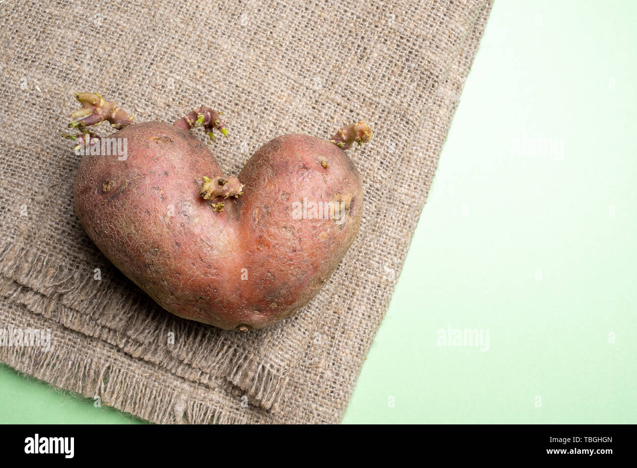 Weird potato hi-res stock photography and images - Alamy