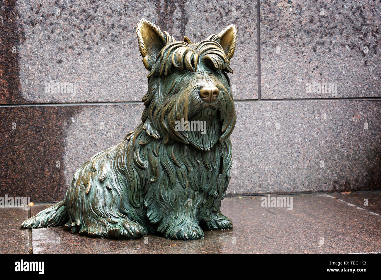 Bronze statue of Franklin Delano Roosevelt's pet dog, Fala, in The ...