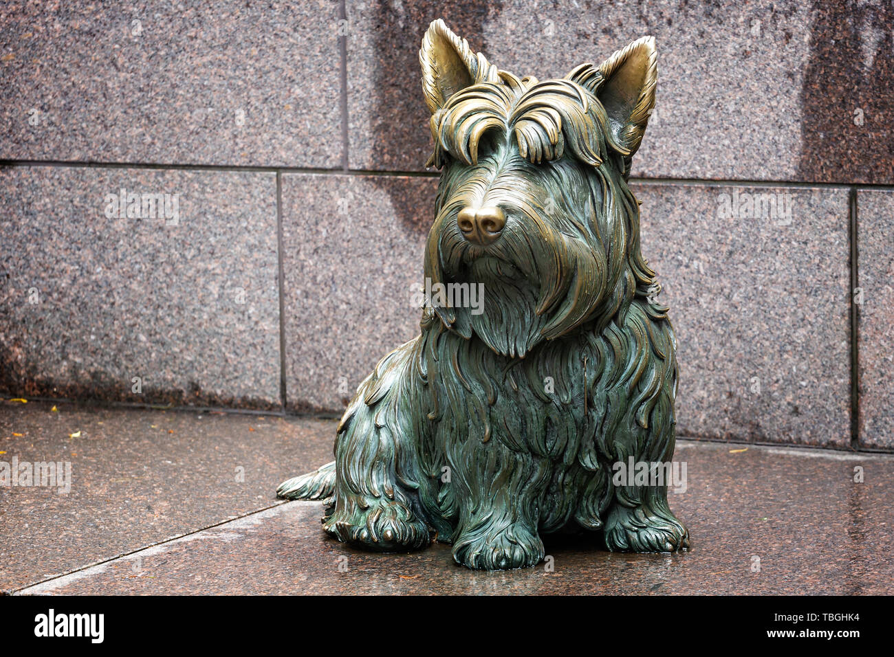President franklin roosevelt dog fala hi-res stock photography and ...