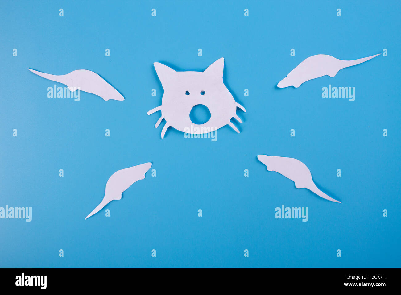funny hunger concept. hungry cartoon cat on blue background Stock Photo ...