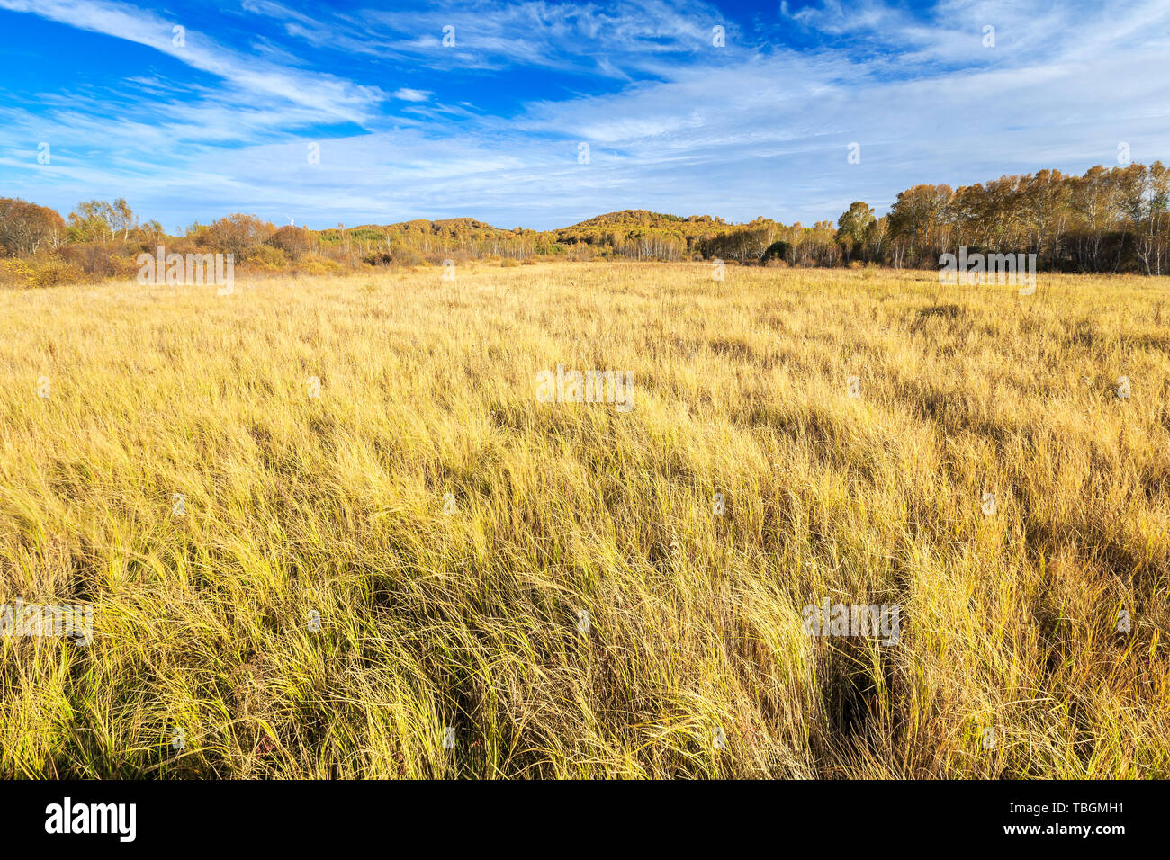 Imperial mouth prairie forest scenic area hi-res stock photography and ...