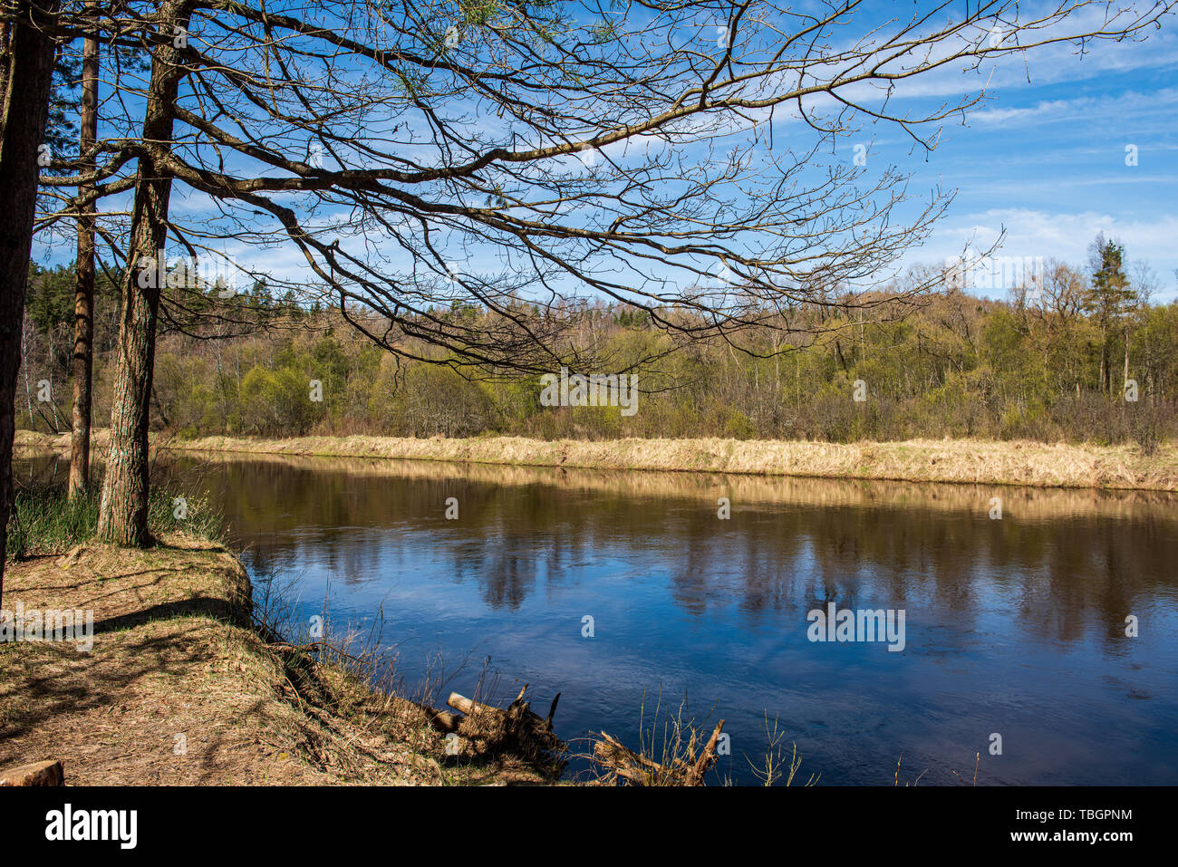 calm countryside lake river with cloud reflections in water and green ...
