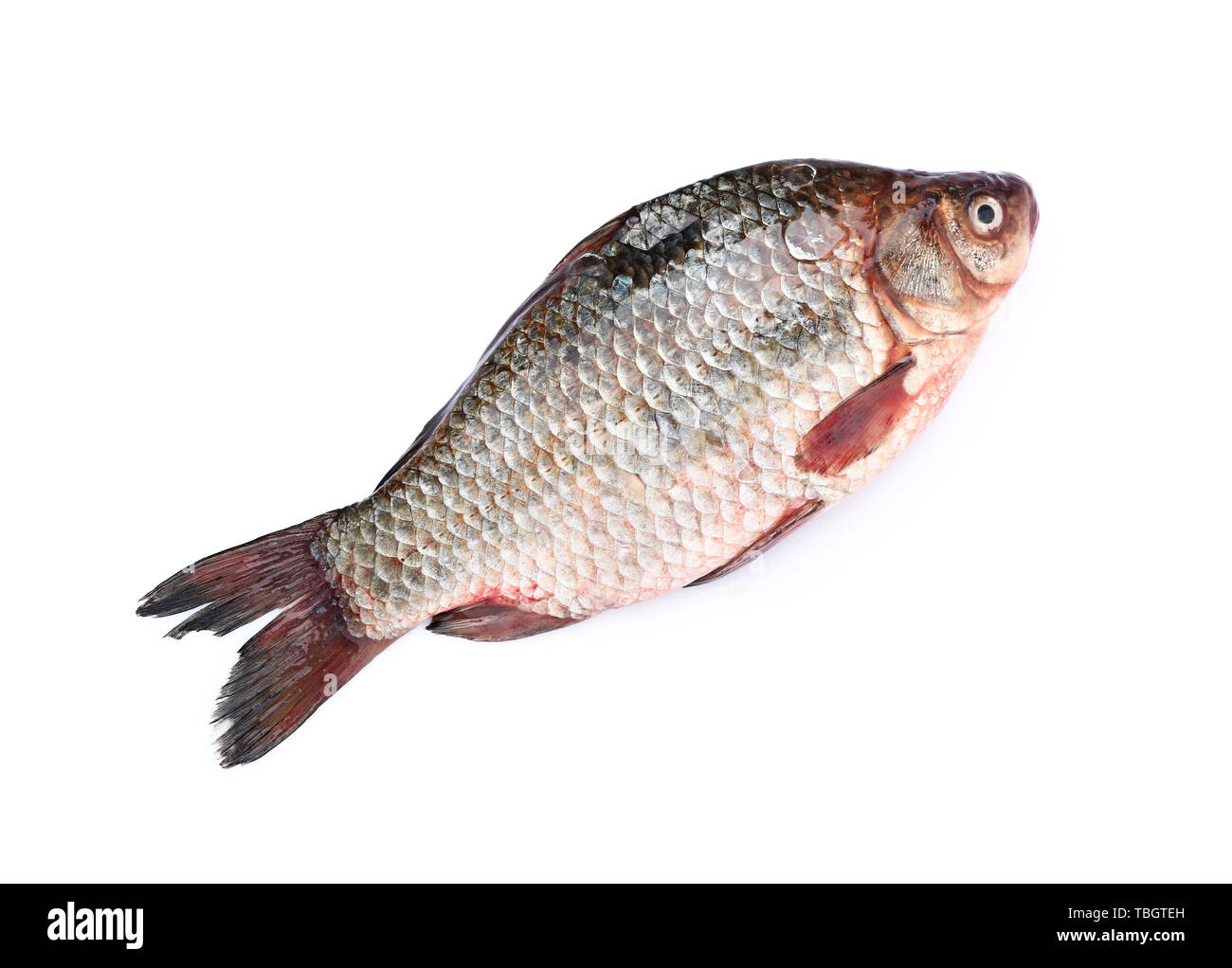 Fresh fish on white background Stock Photo - Alamy