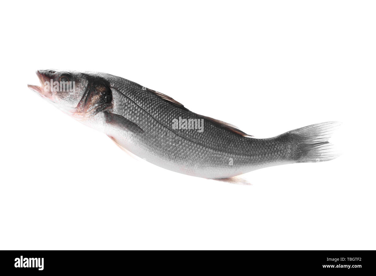 Fresh fish on white background Stock Photo - Alamy