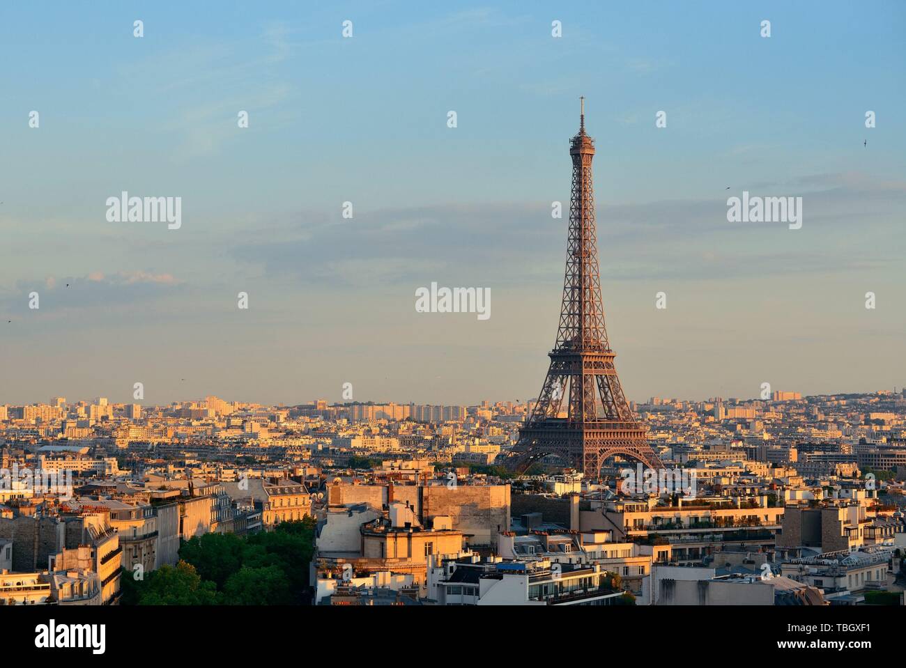 Paris rooftop view skyline and Eiffel Tower in France Stock Photo - Alamy