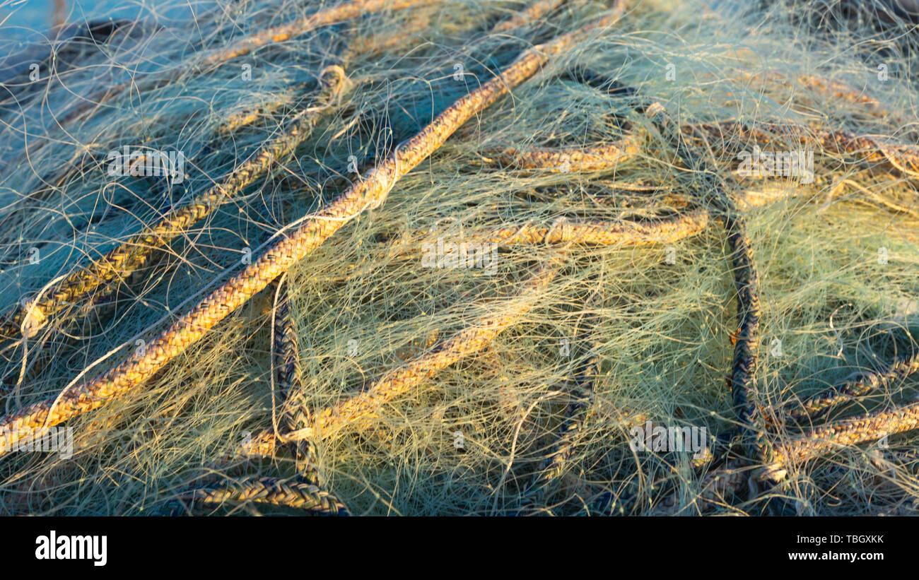 Entangled fish hi-res stock photography and images - Alamy