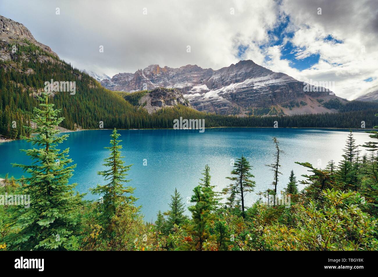 Lake O`hara, Yohu National Park, Canada Stock Photo - Alamy