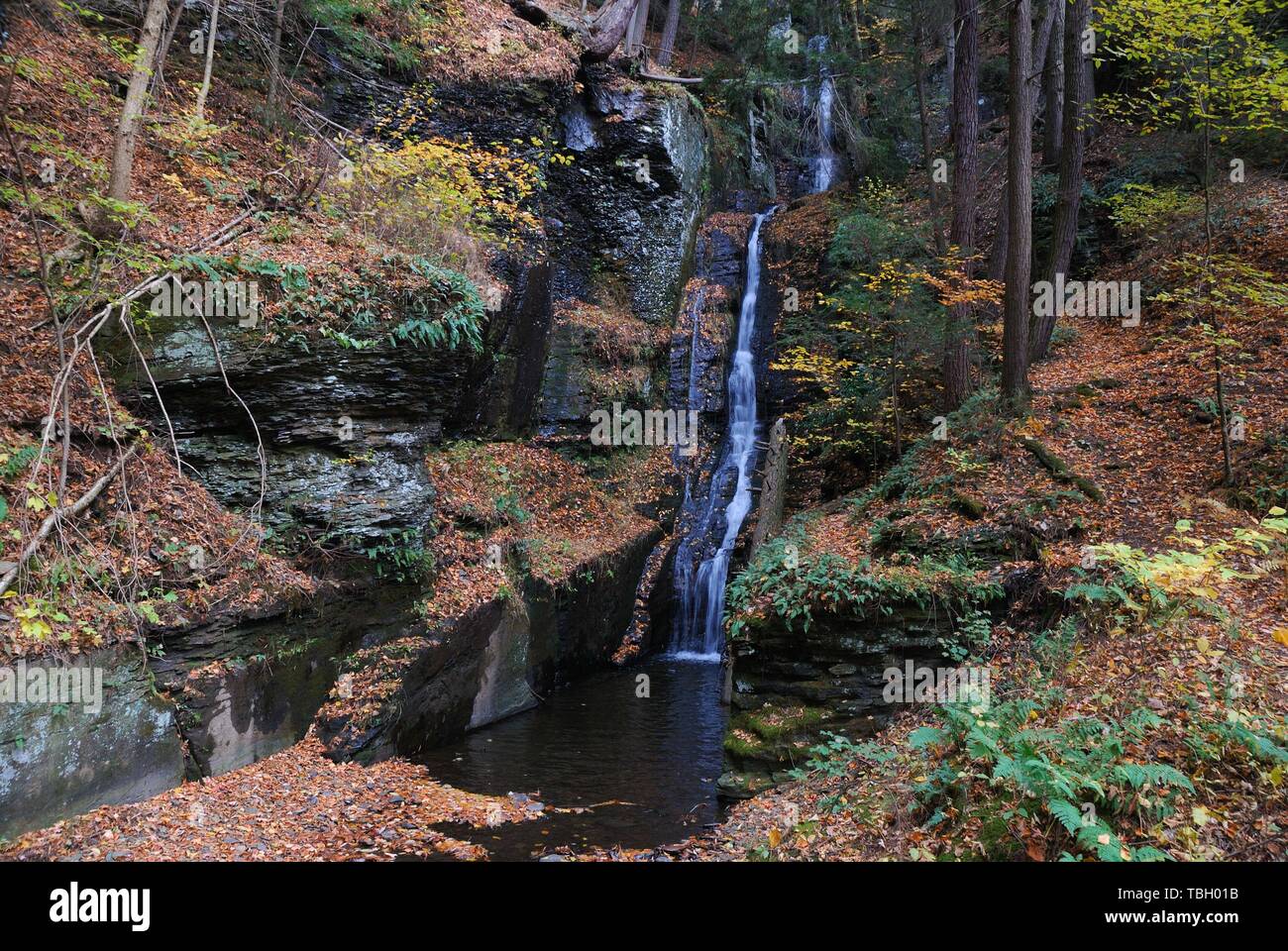 Autumn Waterfall in mountain with foliage and woods over rocks. Silver ...
