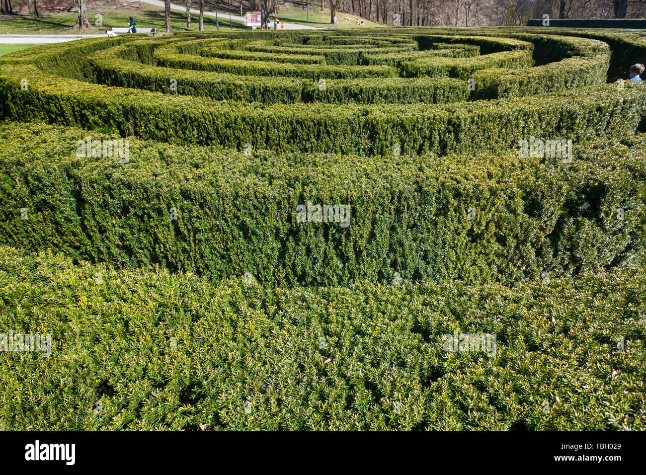 Maze of cut bushes in Gothenburg, Sweeden. Bush Labyrinth at ...