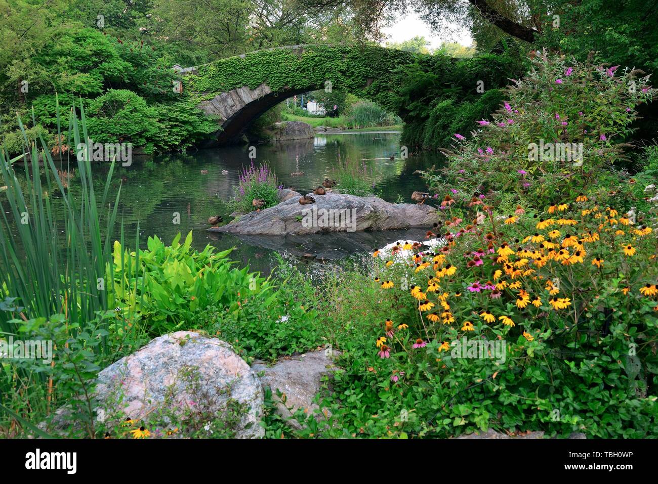 Central Park Spring with bridge in midtown Manhattan New York City ...