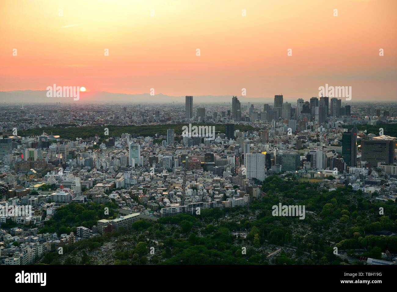 Tokyo urban skyline rooftop sunset view, Japan Stock Photo - Alamy