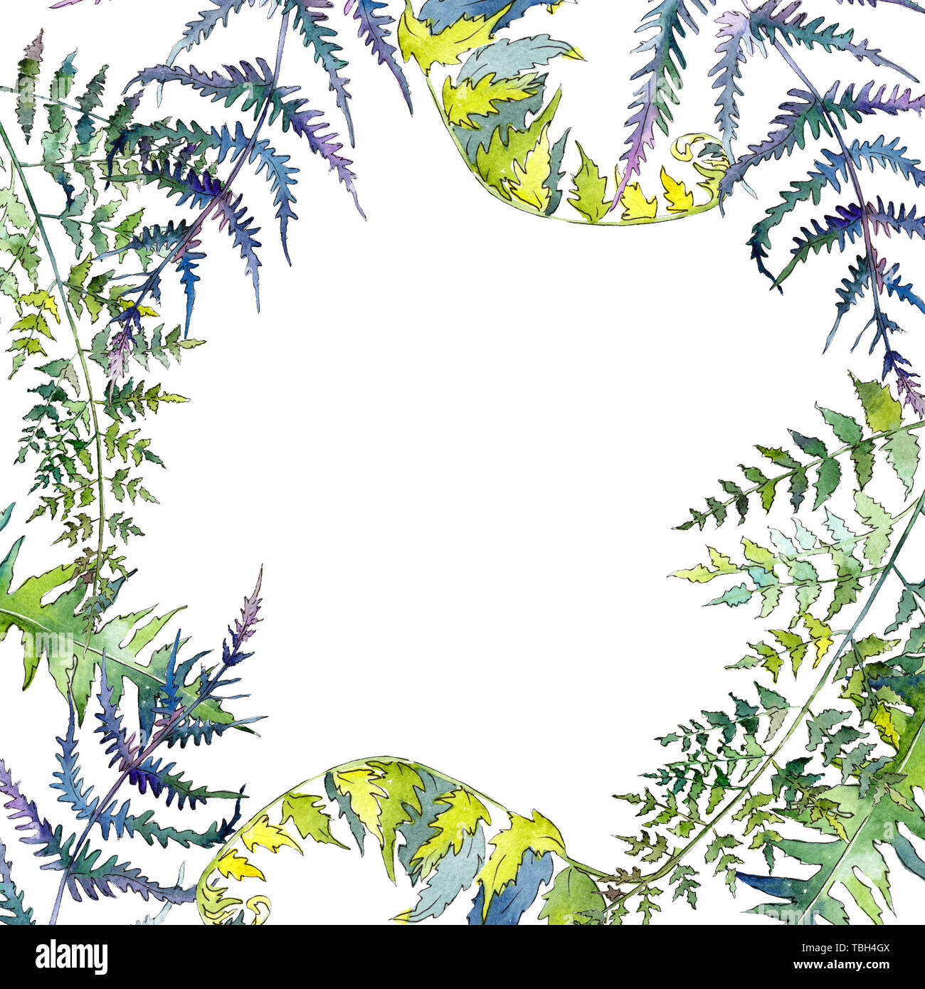 Fern green leaves. Leaf plant botanical garden floral foliage ...