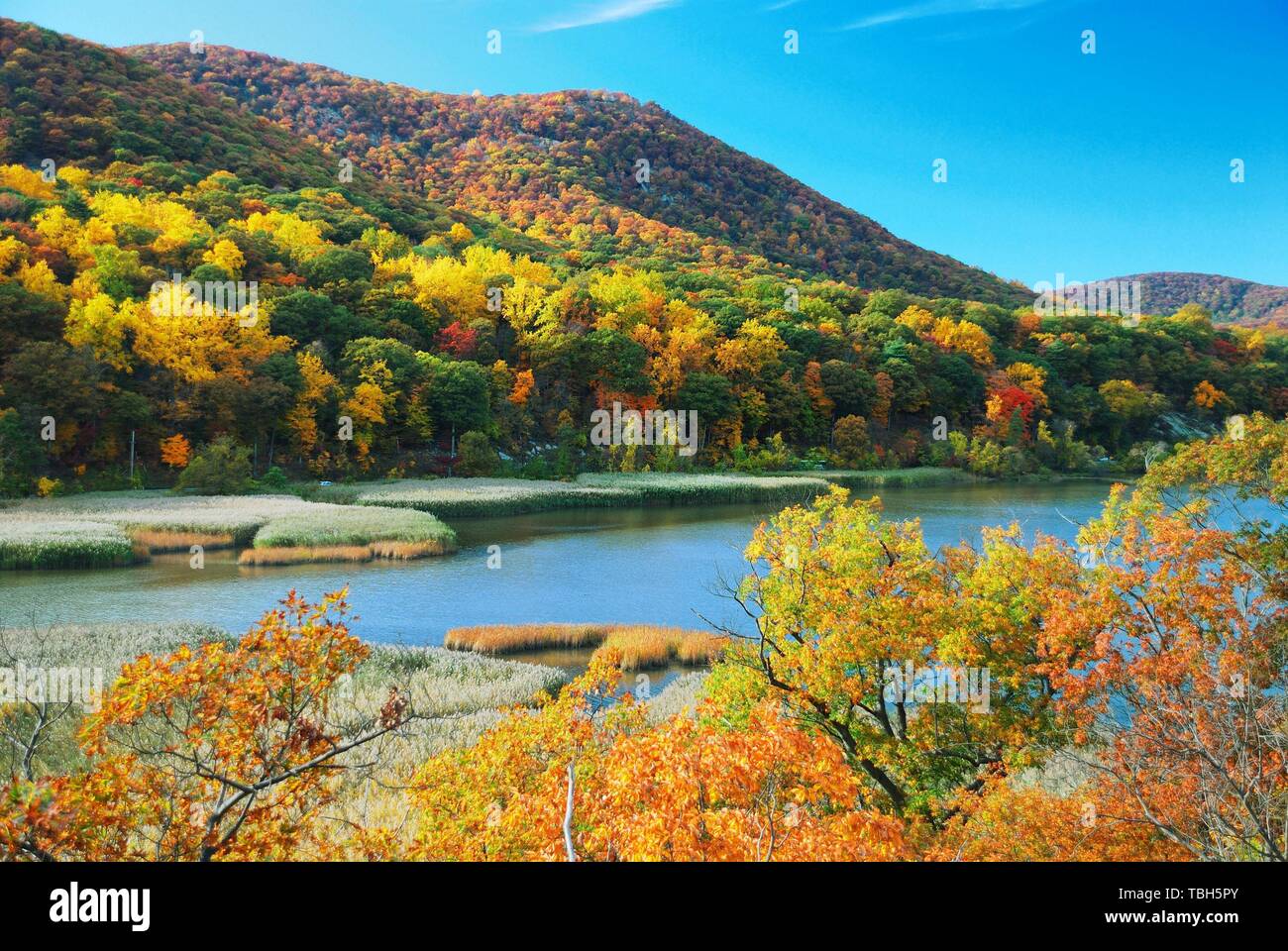 Autumn foliage with beautiful colors in mountain with lake Stock Photo ...