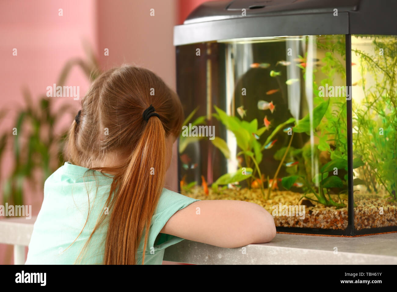 Cute little girl looking at fish in aquarium Stock Photo - Alamy