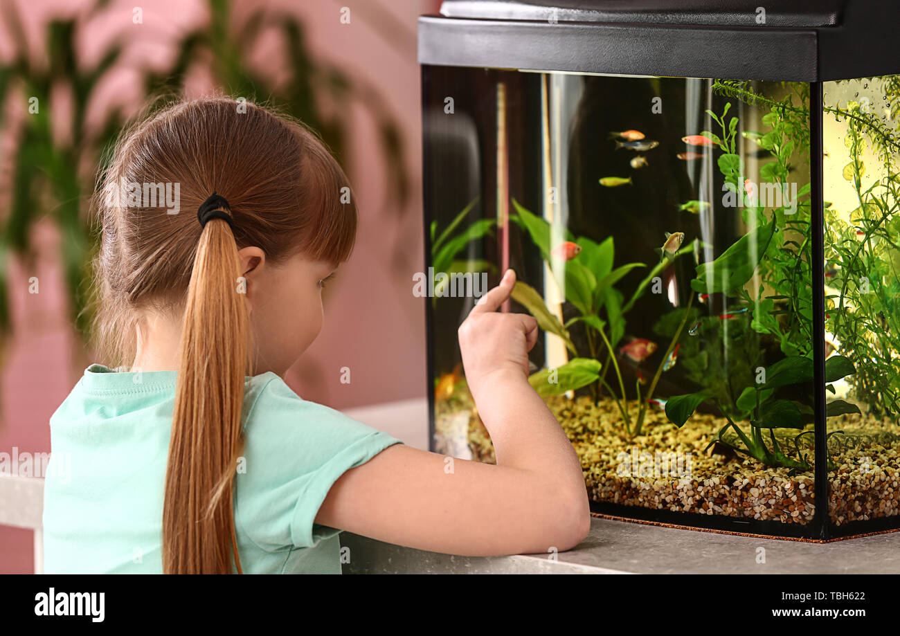 Cute little girl looking at fish in aquarium Stock Photo - Alamy