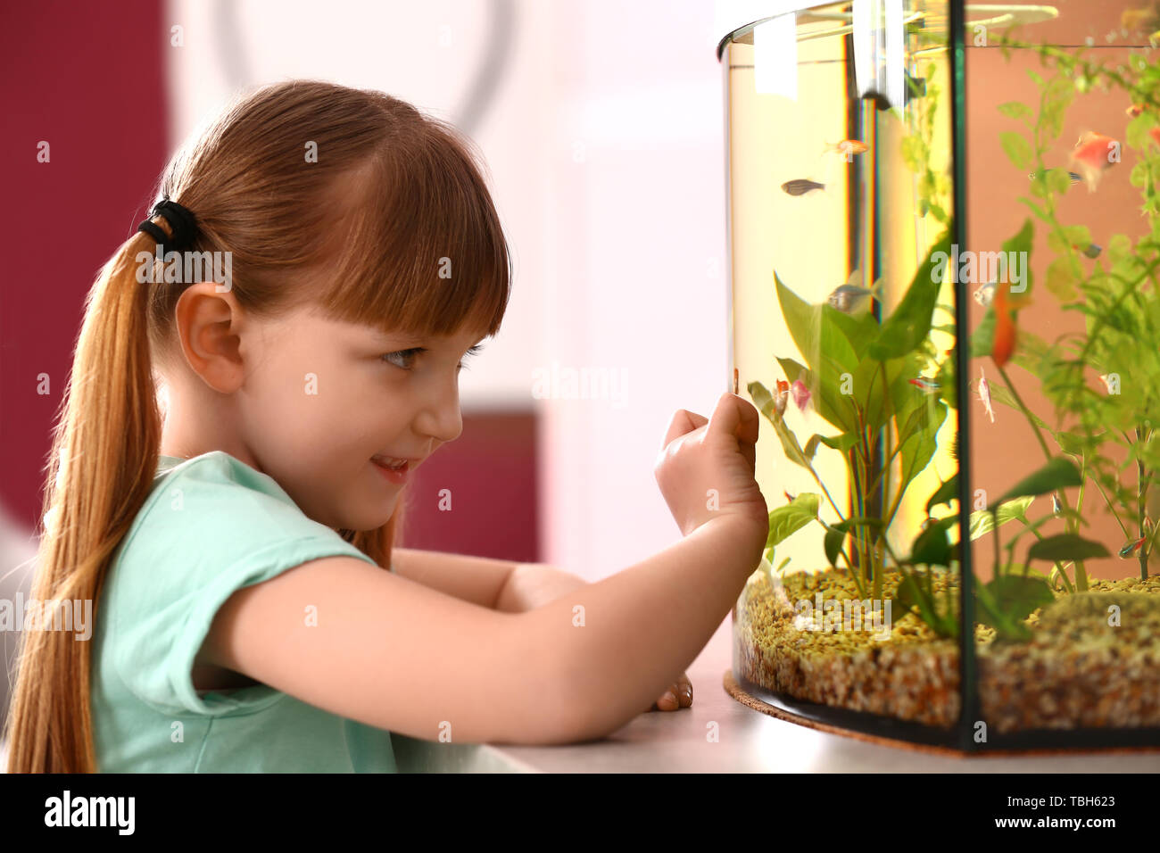Cute little girl looking at fish in aquarium Stock Photo - Alamy