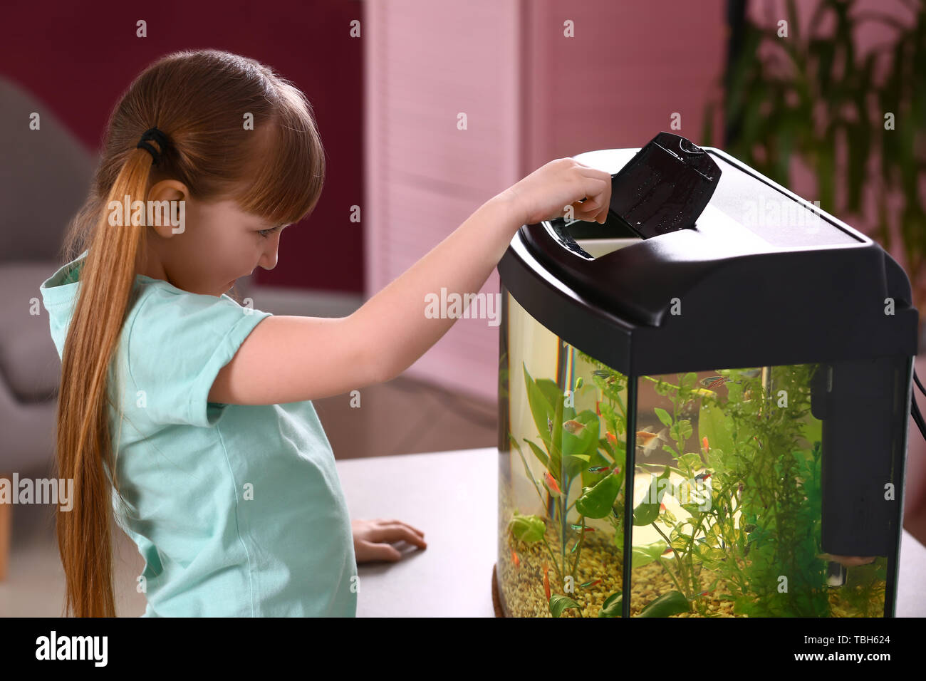 Cute little girl feeding fish in aquarium Stock Photo - Alamy