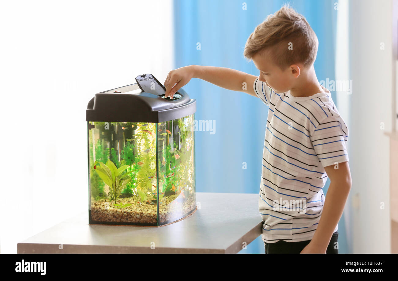 Boy fish table hi-res stock photography and images - Alamy