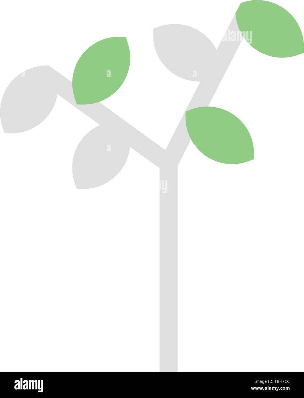 Tree icon Vector - Plants sign Stock Vector Image & Art - Alamy