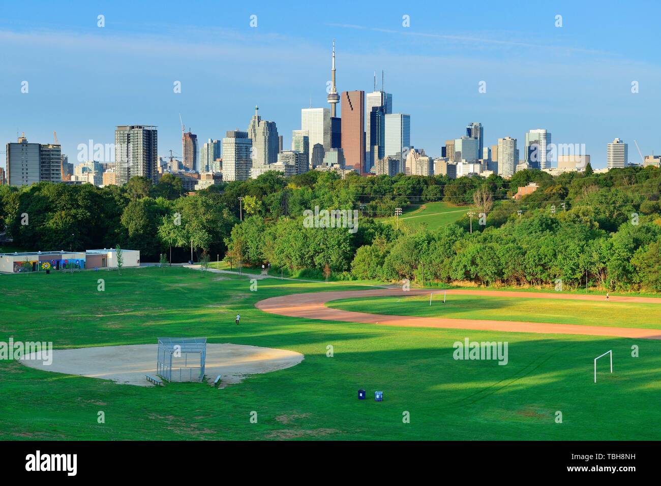 Toronto skyline over park with urban buildings and blue sky Stock Photo ...