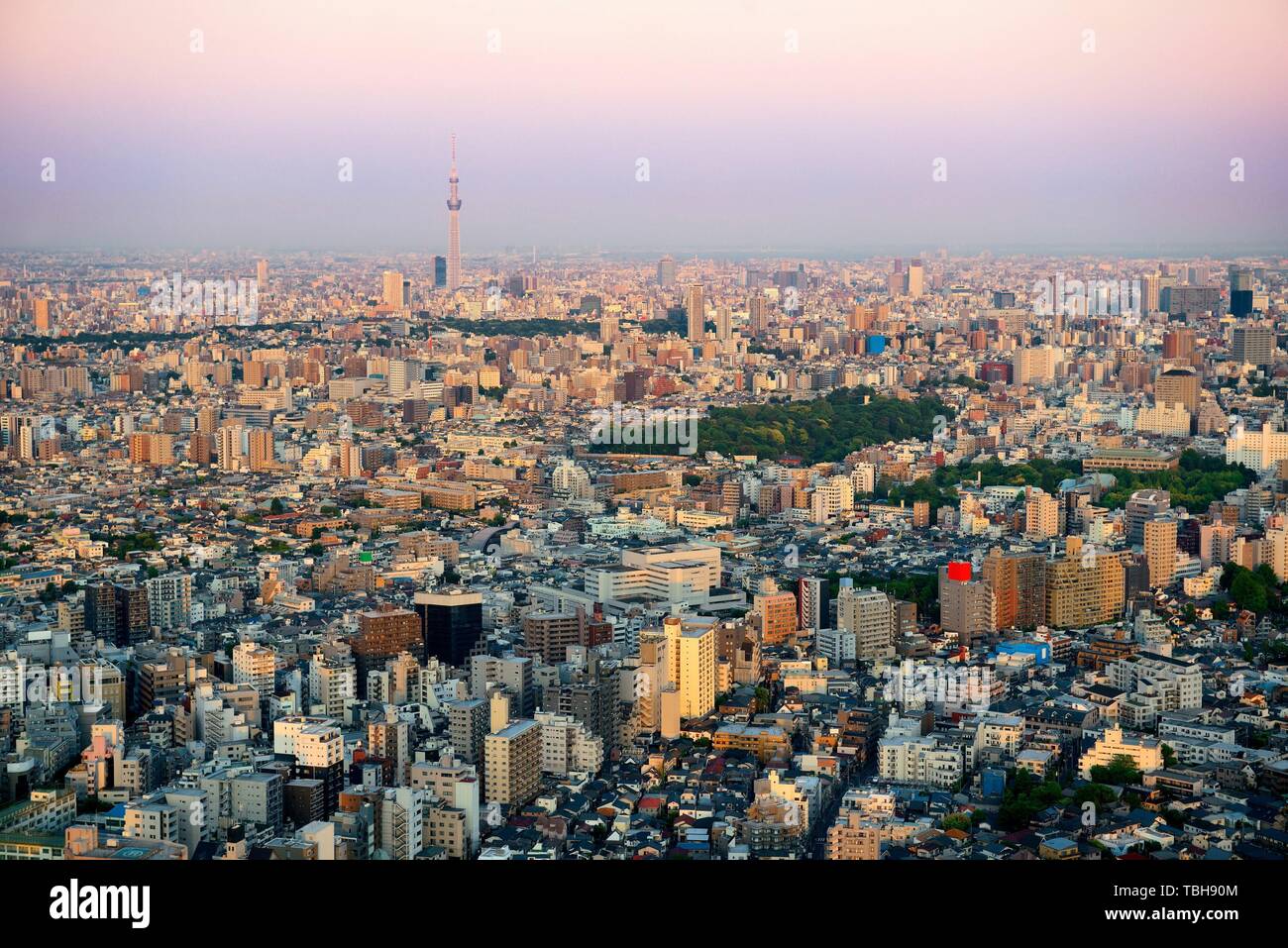 Tokyo Skytree and urban skyline rooftop view at sunset, Japan Stock ...