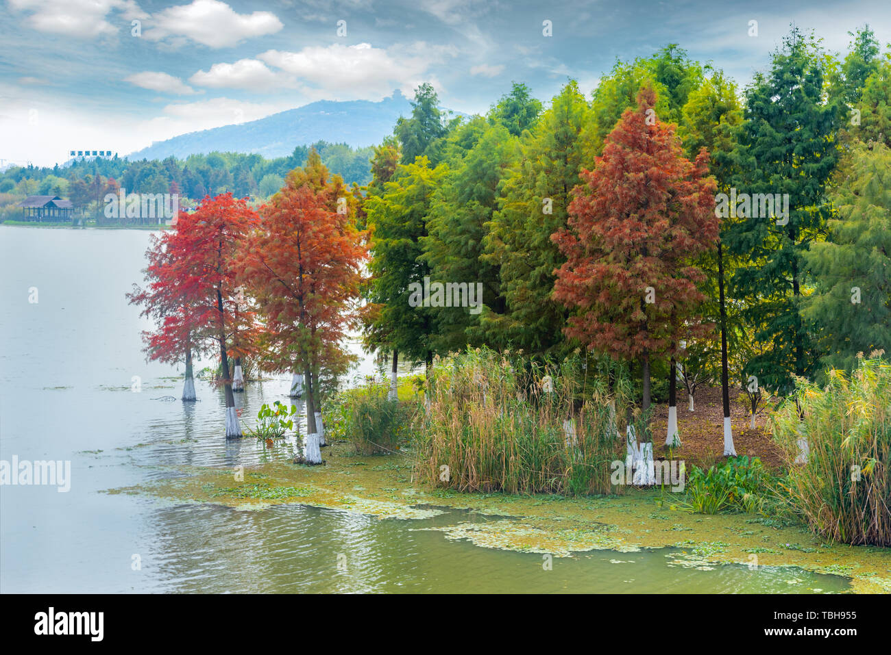 The beautiful scenery of Li Lake in Wuxi Stock Photo - Alamy
