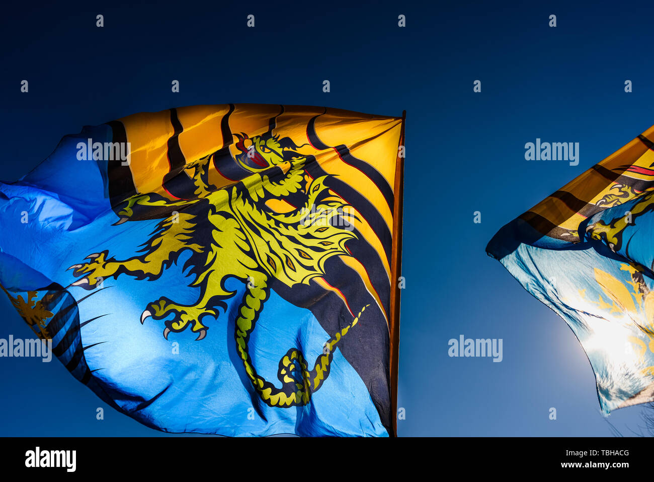 Traditional Italian dance of the flag-wavers Sbandieratori doing stunts ...