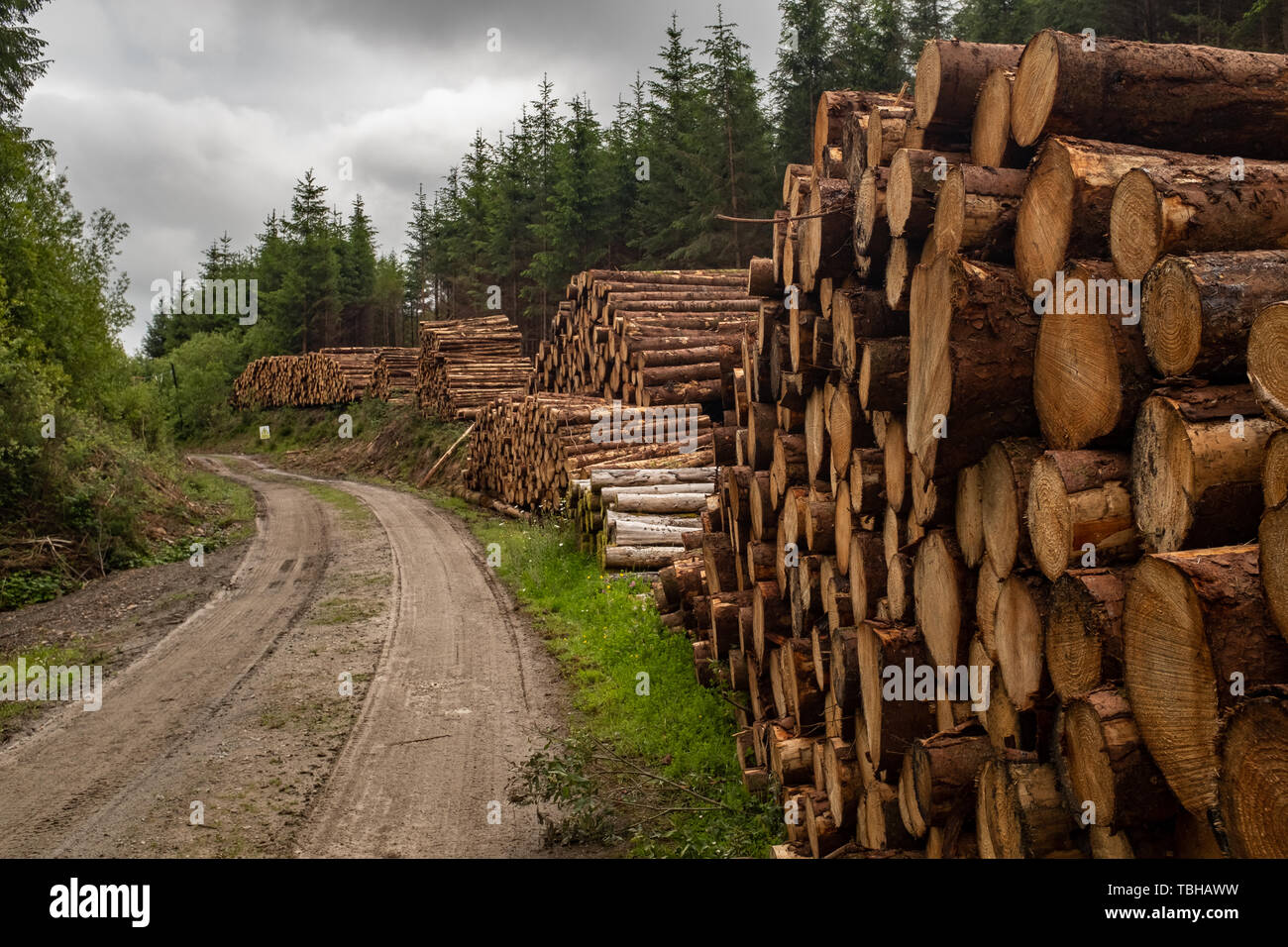 Cleared by dir hi-res stock photography and images - Alamy