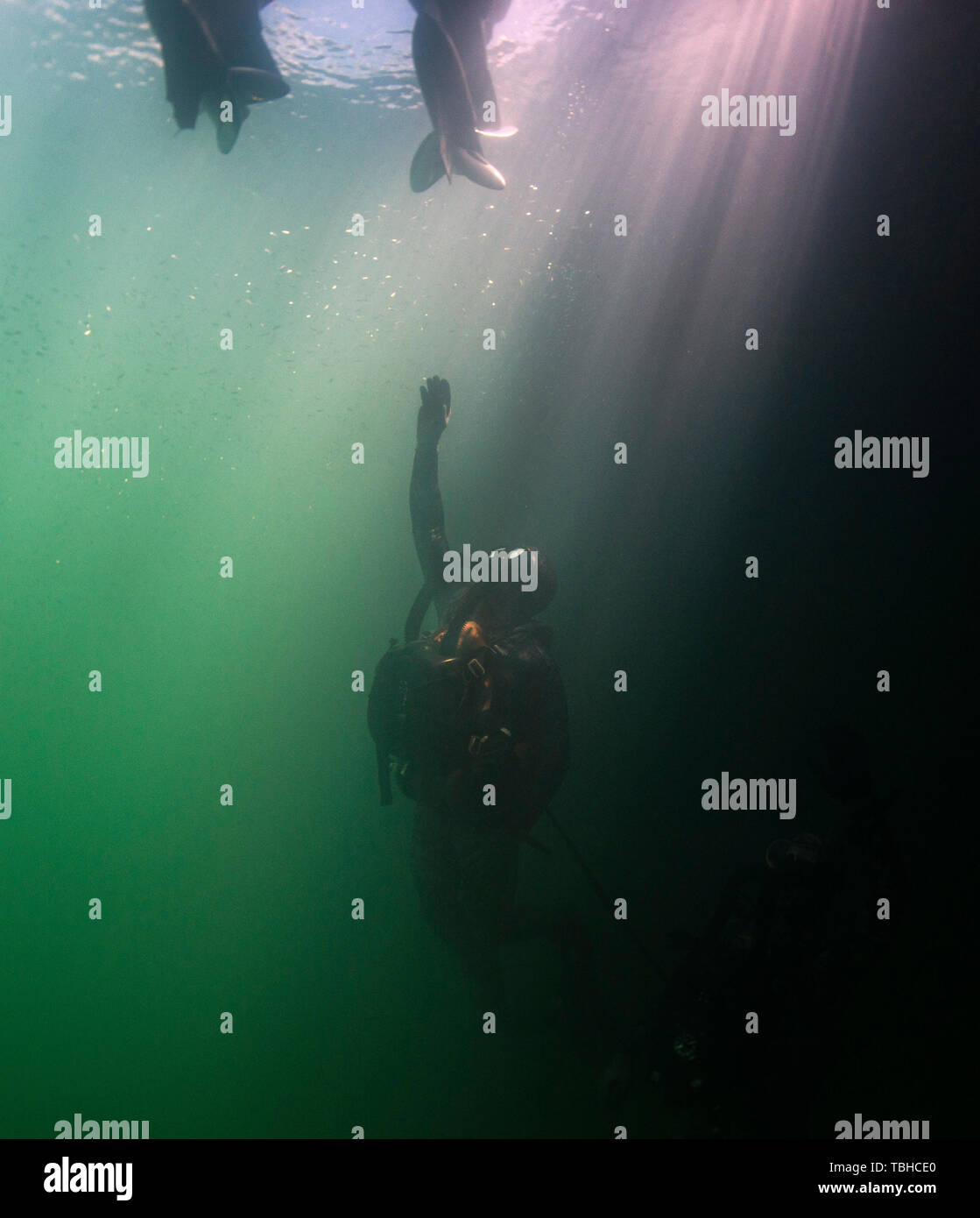 Navy continuous training environment hi-res stock photography and ...