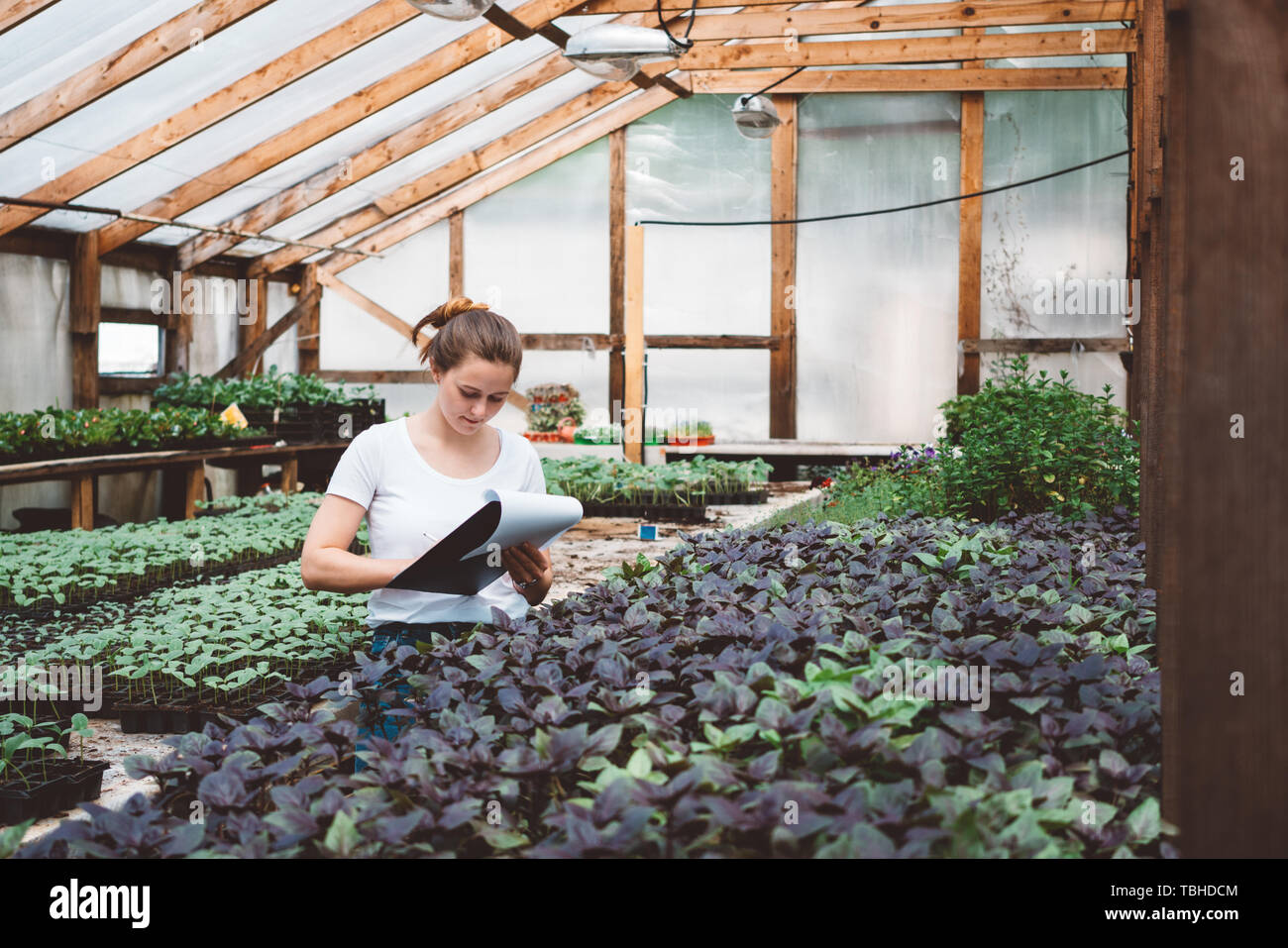 Interior Greenhouse High Resolution Stock Photography and Images - Alamy