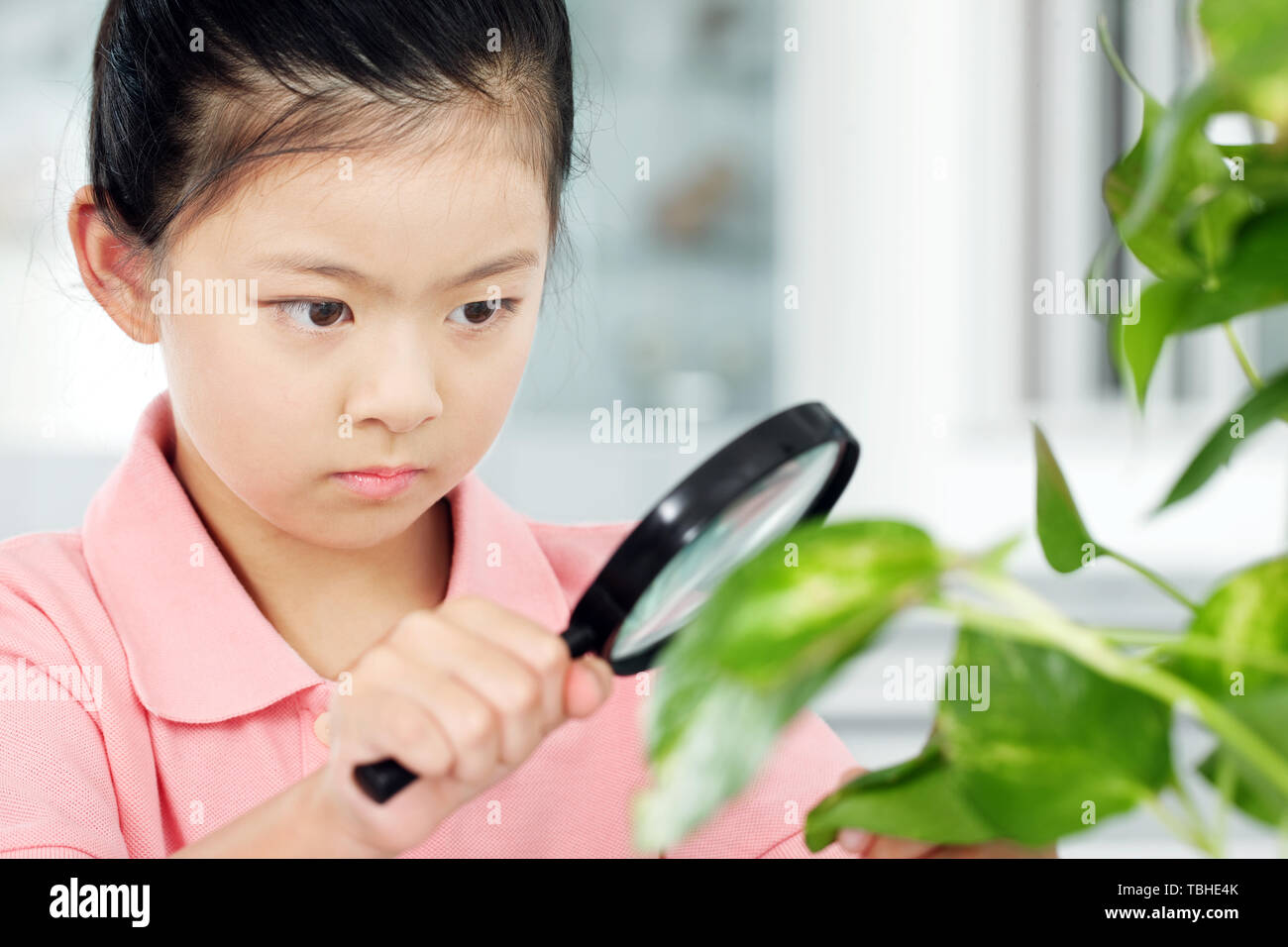 Primary school students take biology class Stock Photo - Alamy