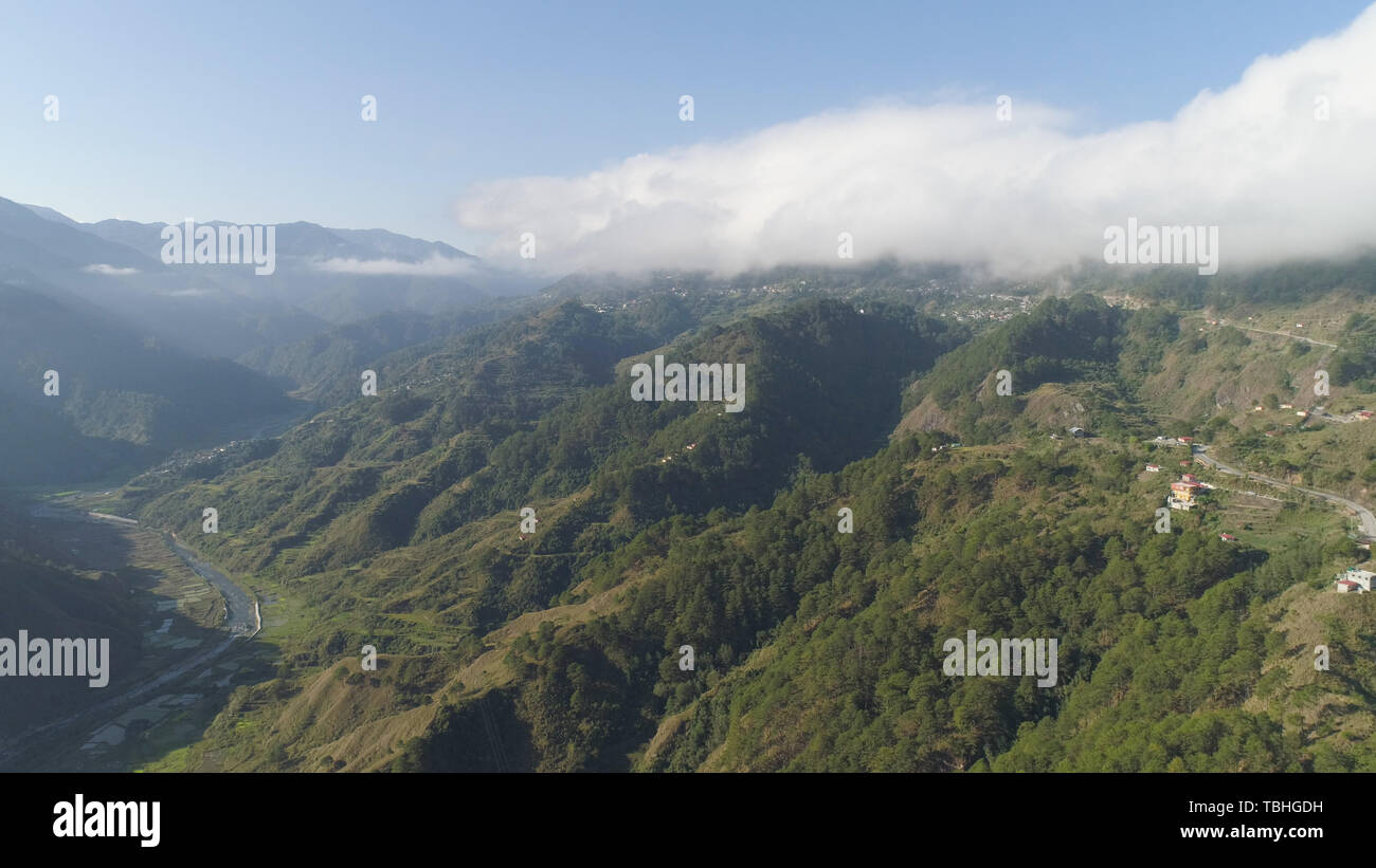 Aerial view of mountains covered forest, trees in clouds and fog ...