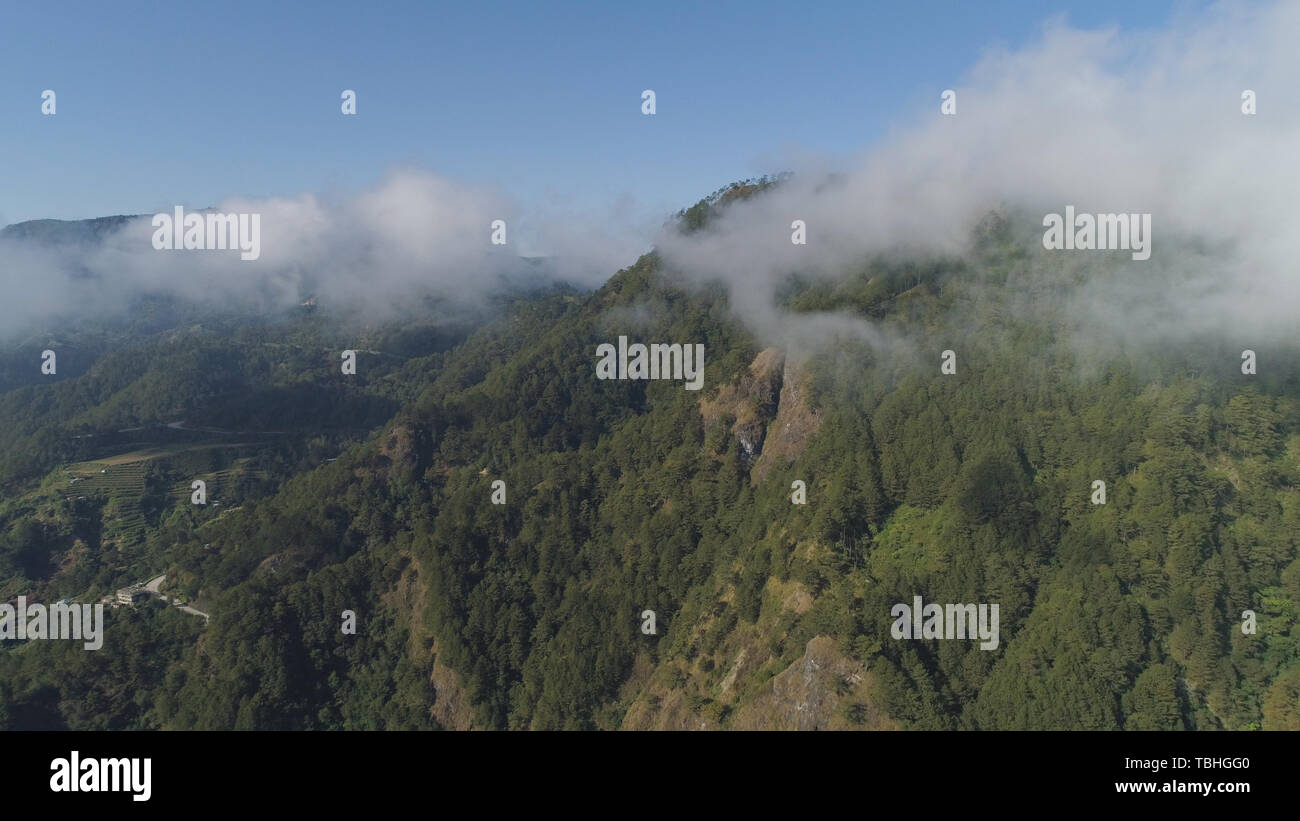 Aerial view of mountains covered forest, trees in clouds. Cordillera ...