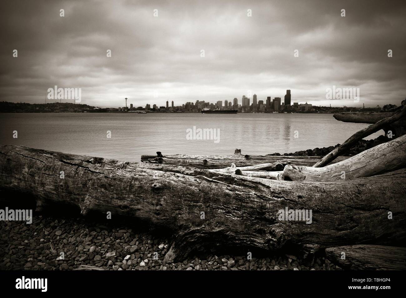 Seattle city skyline view over sea with urban architecture and tree log ...