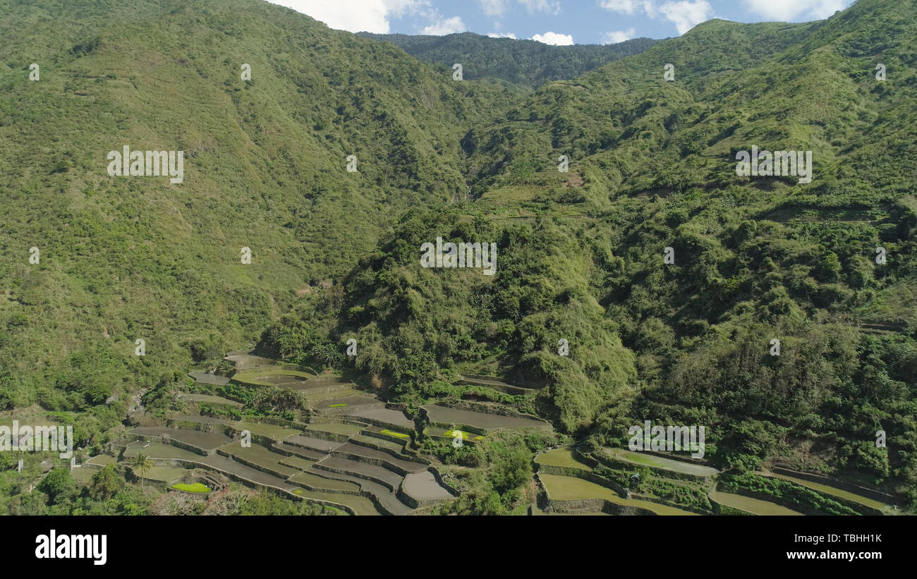 Aerial view of rice terraces and agricultural land on the slopes of the ...