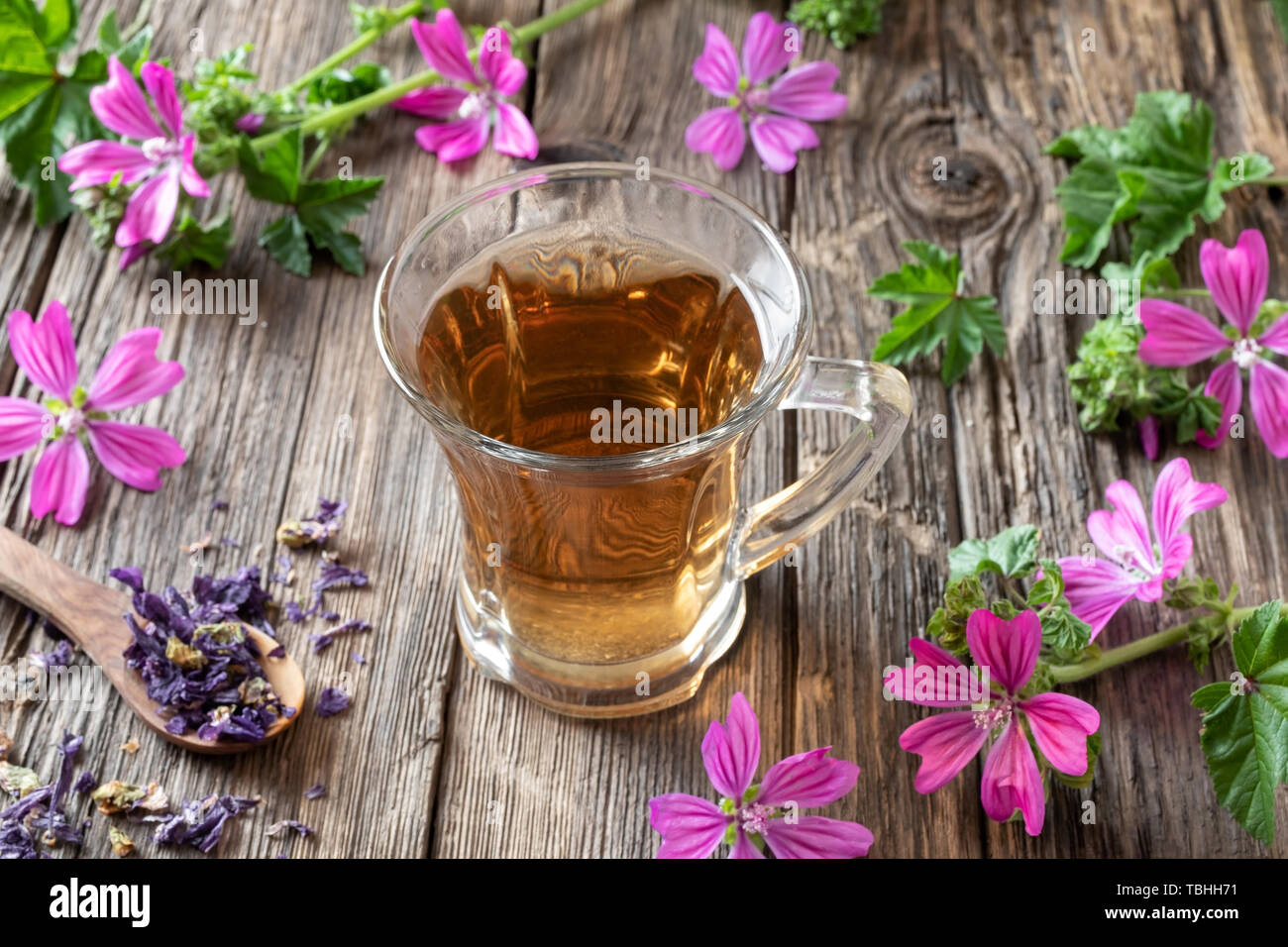 A cup of mallow tea with fresh malva sylvestris flowers on a table ...