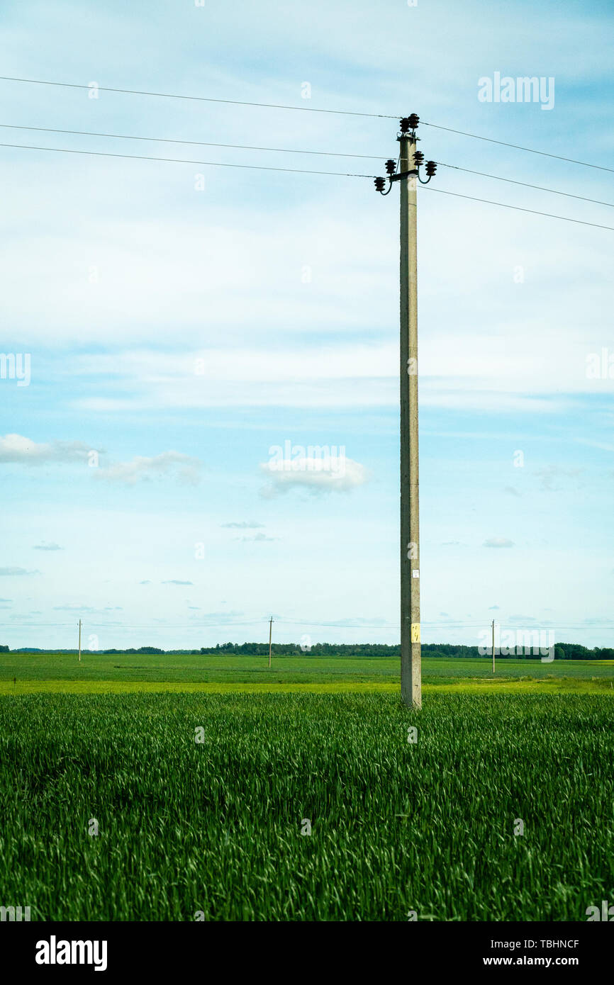 Electric pole standing on the agricultural crop field Stock Photo - Alamy
