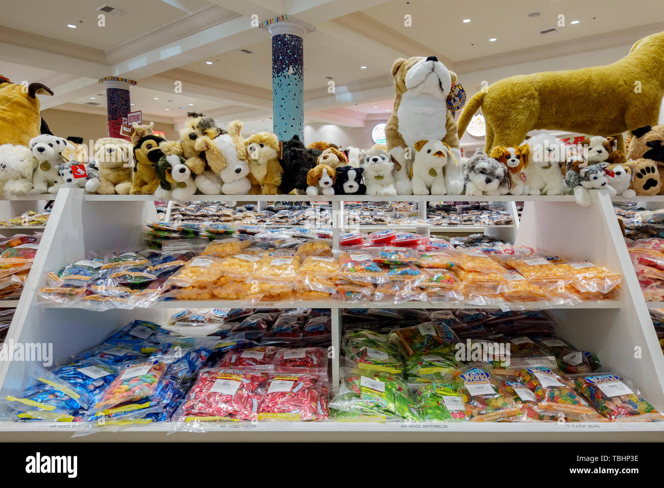 Yermo, APR 26: Interior view of the Eddie World on APR 26, 2019 at ...