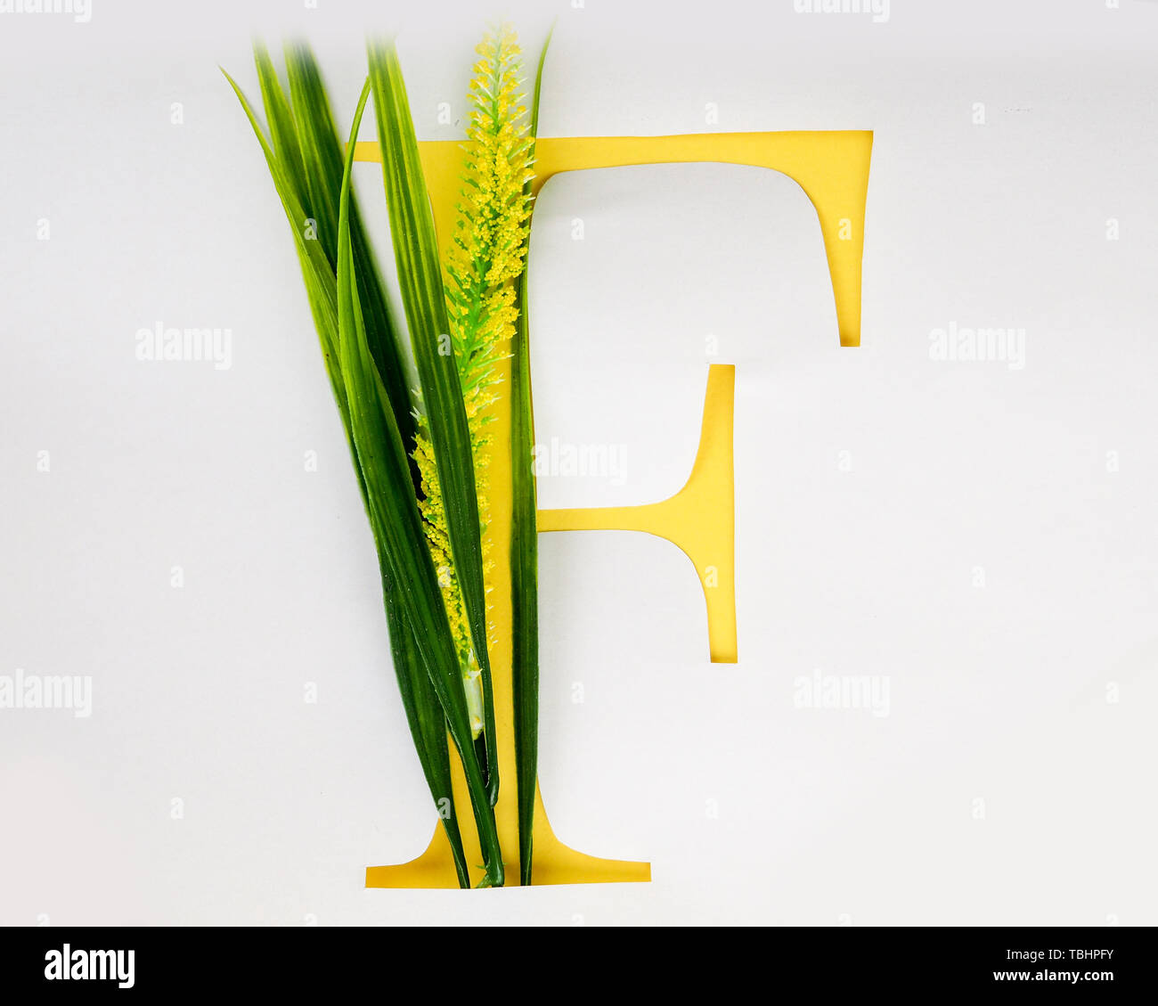 Letter alphabet with paper craft yellow flower. ABC concept type as ...