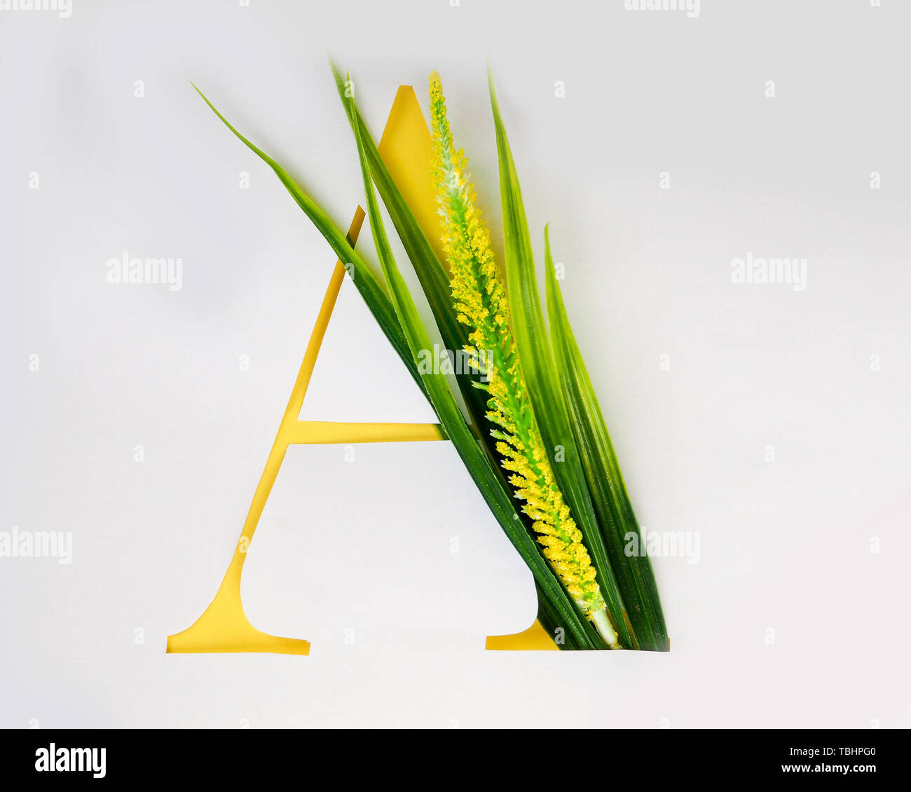 Letter alphabet with paper craft yellow flower. ABC concept type as ...