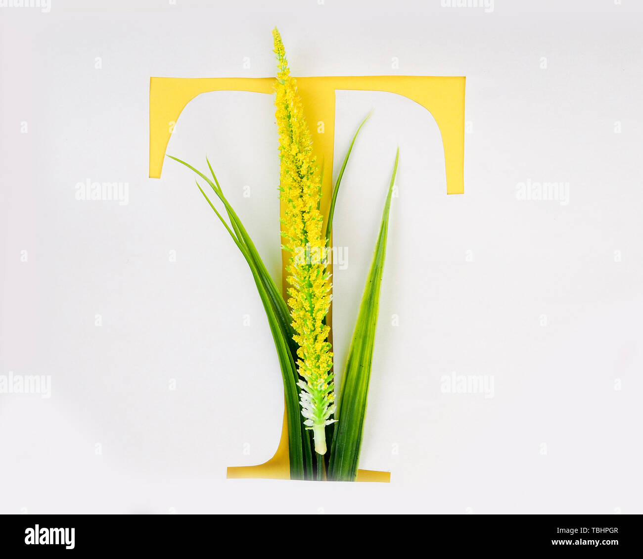 Letter alphabet with paper craft yellow flower. ABC concept type as ...