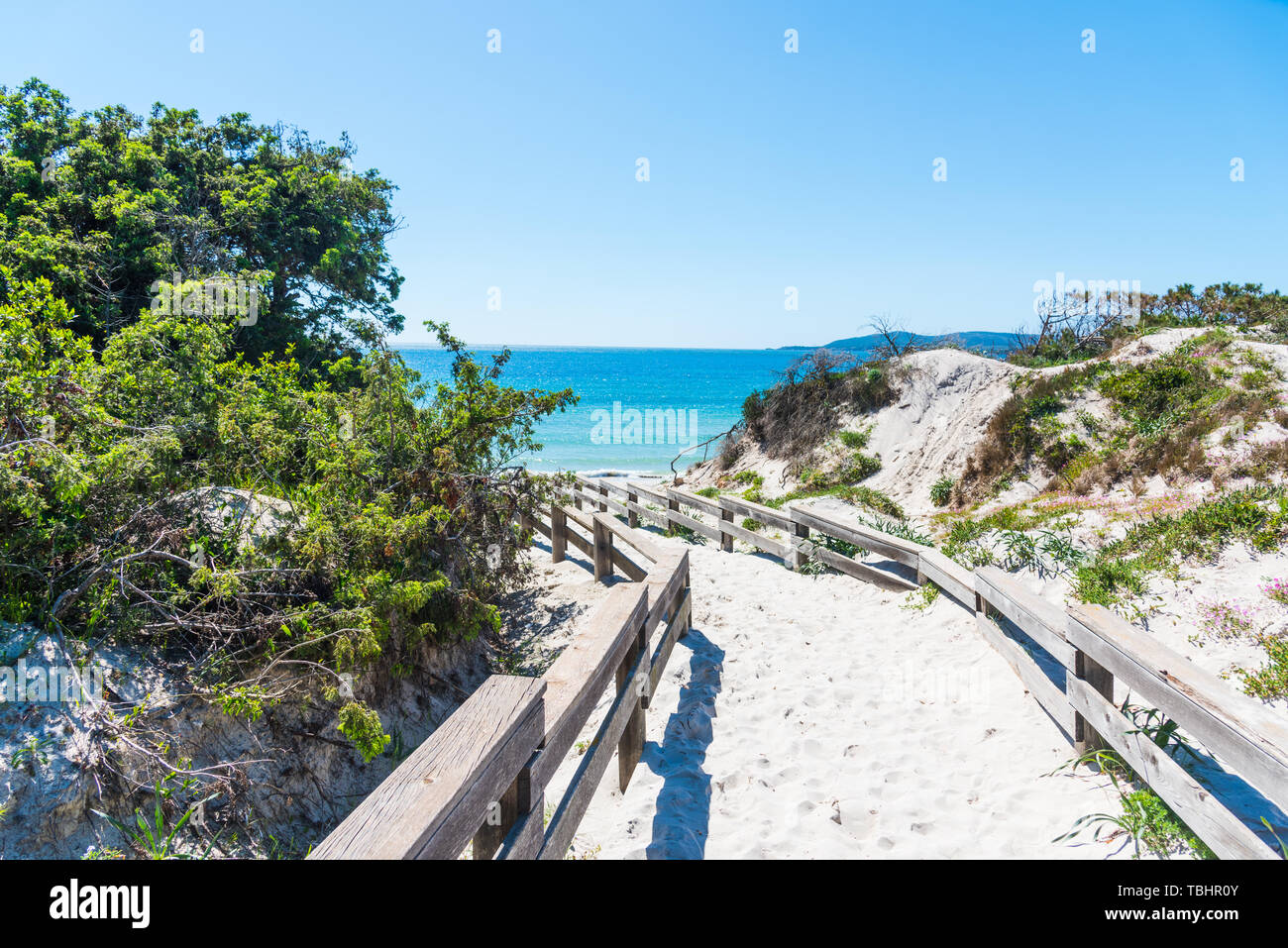 white sand and transparent sea in Maria Pia beach, Alghero Stock Photo ...