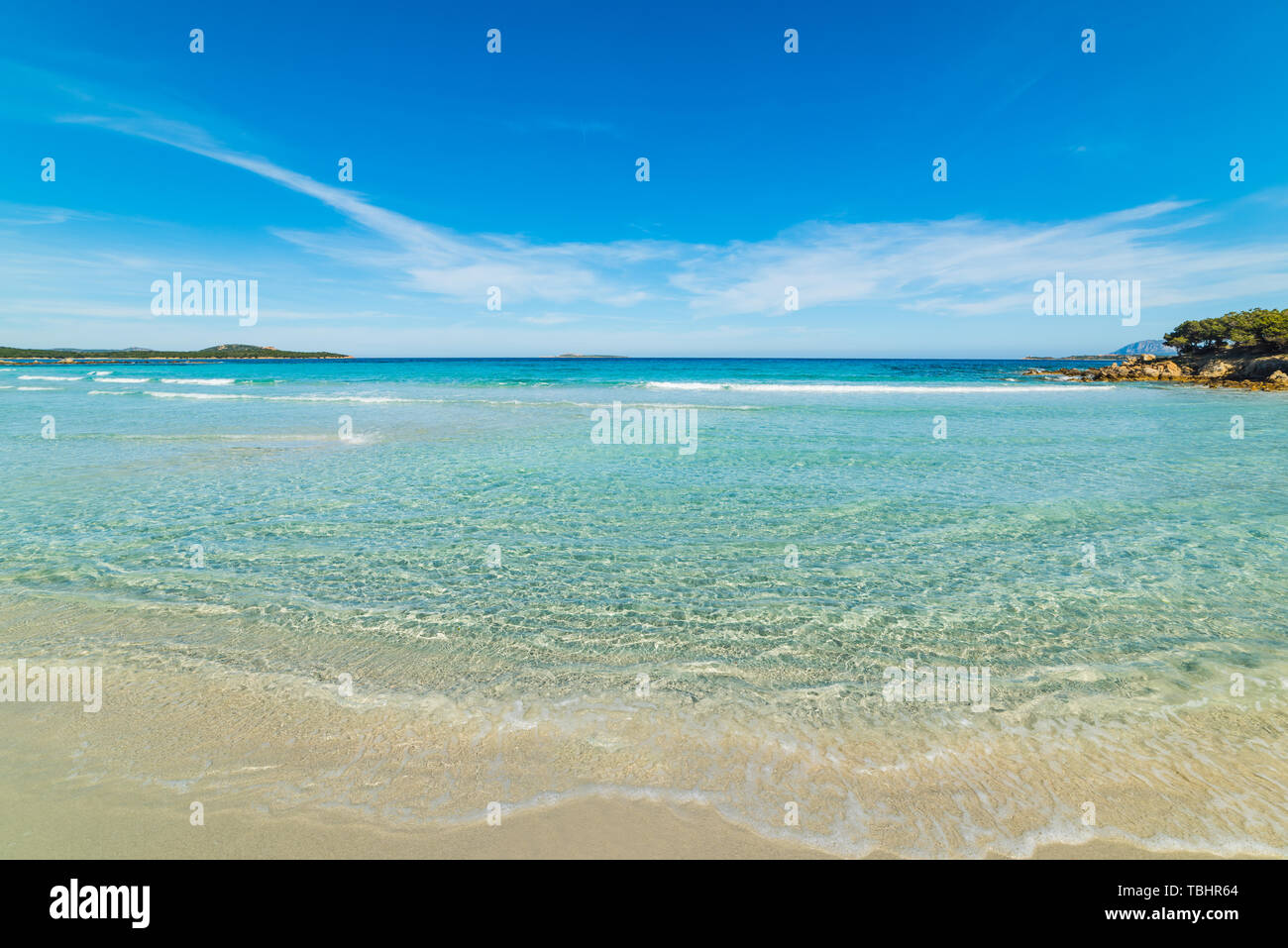 Clear water in Rena Bianca beach in Costa Smeralda Stock Photo - Alamy