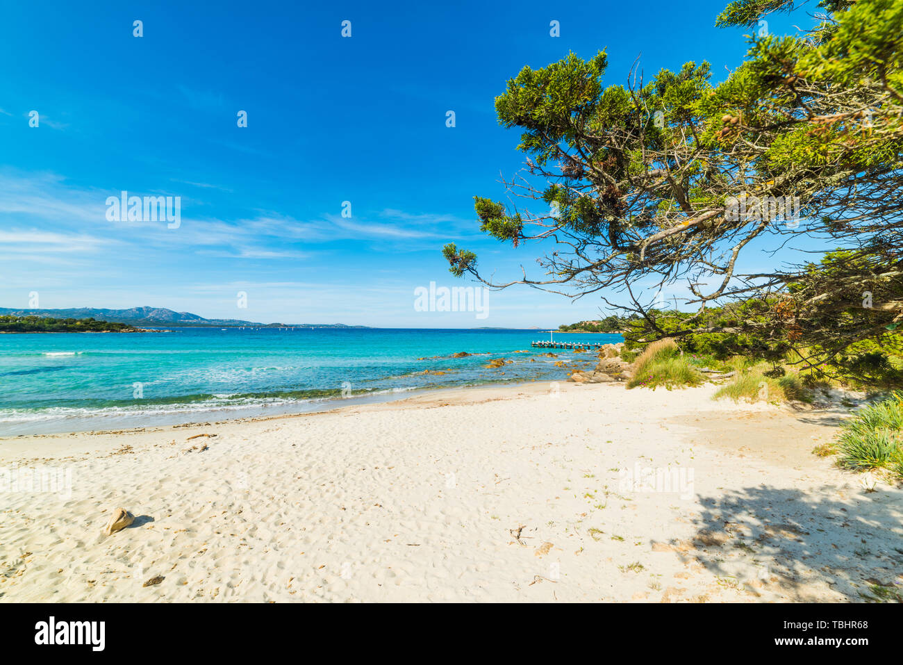 Clear water in rena hi-res stock photography and images - Alamy