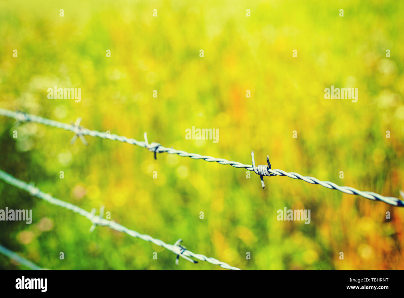 Open wire pole hi-res stock photography and images - Alamy