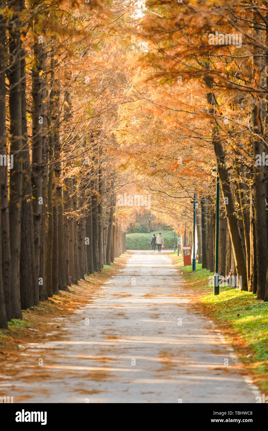 Park Walk Trail Stock Photo - Alamy
