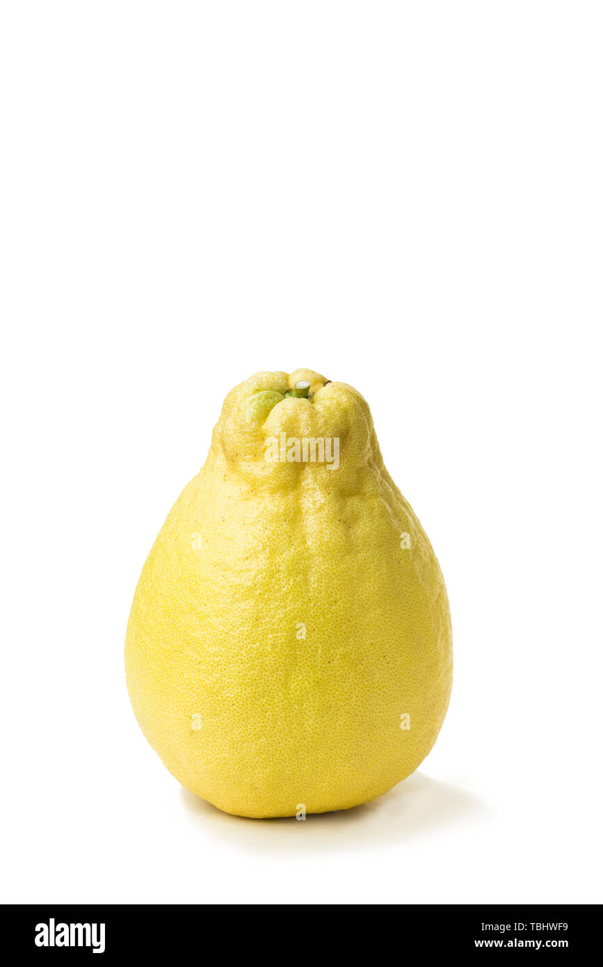 Studios shooting pericarp hi-res stock photography and images - Alamy