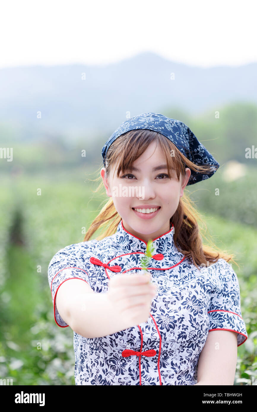 Asian beautiful tea girl in photography Stock Photo - Alamy