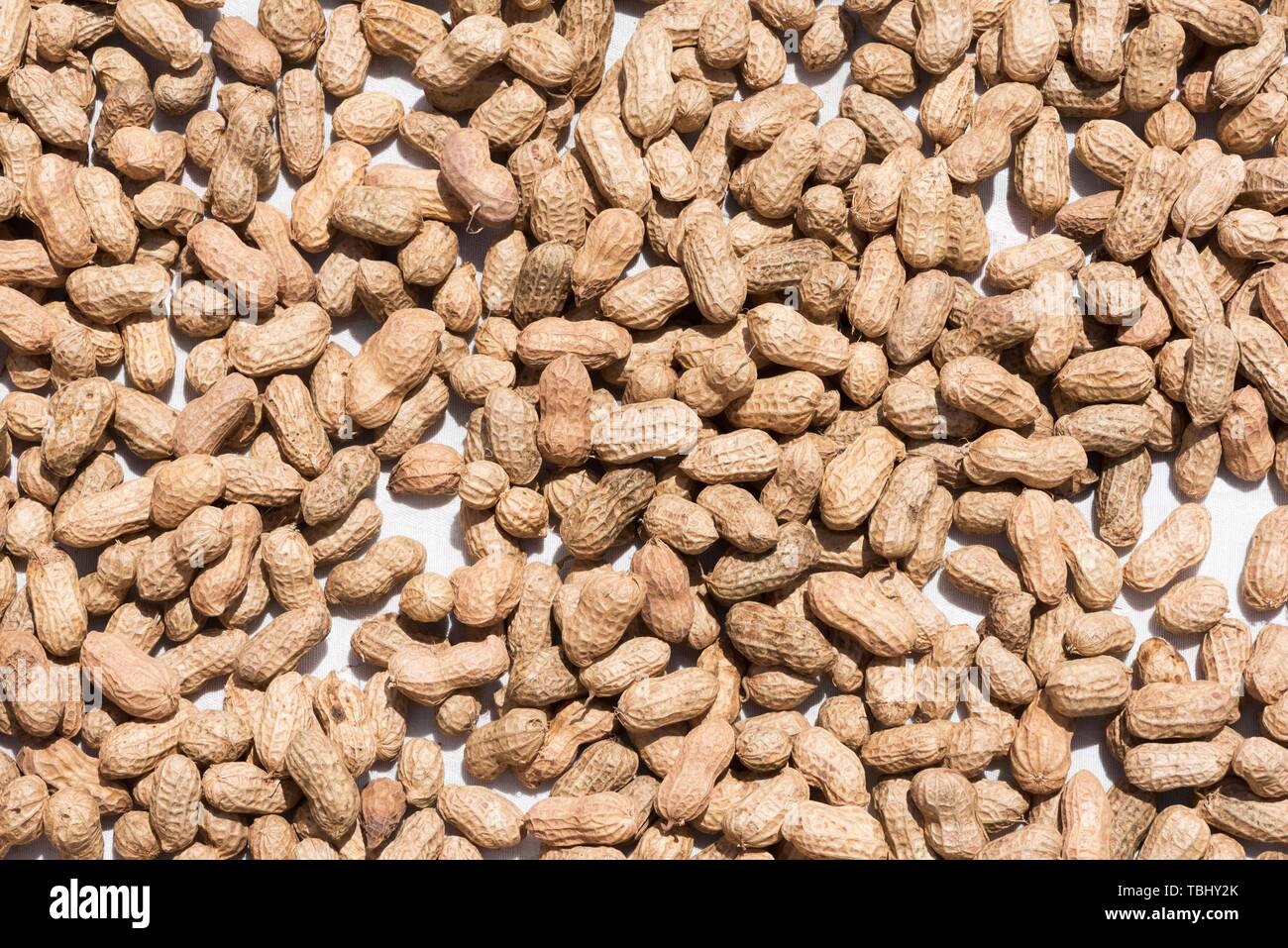 Peanuts drying in the sun in China Stock Photo - Alamy