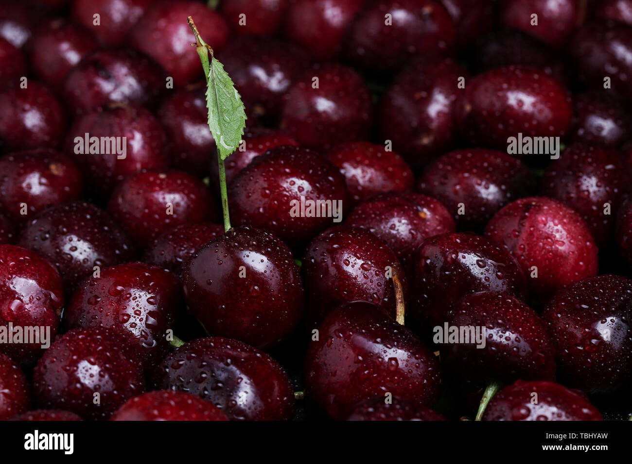 Che li hi-res stock photography and images - Alamy